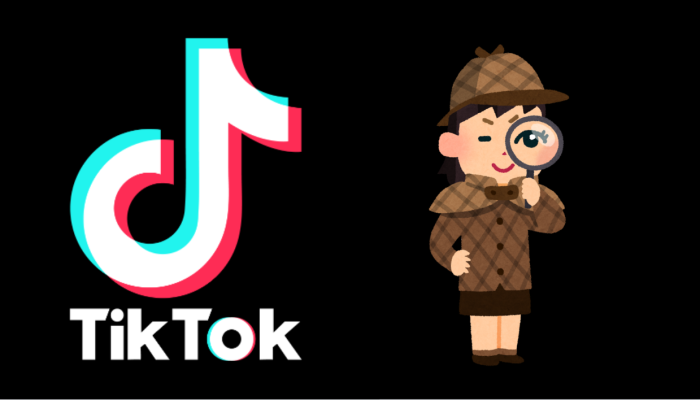 TikTok Owner Seeks Sydney Sleuth For Asia-Pacific Bullying, Harassment ...